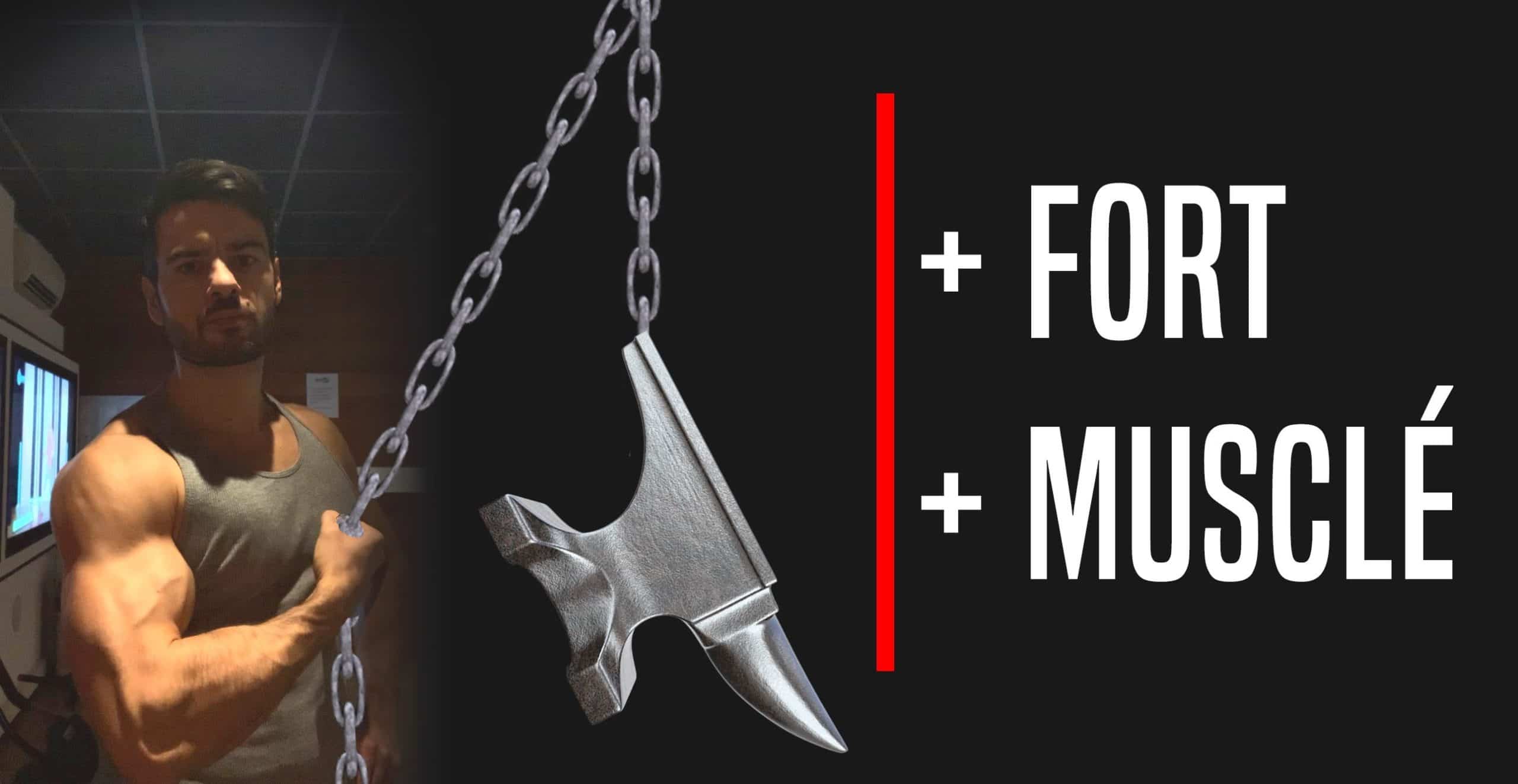 Comment développer sa force pour prendre du muscle | Fitnessmith